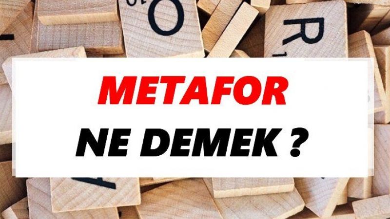 Metafor ne demek? Metafor ne anlama geliyor? Metafor örnekleri ...